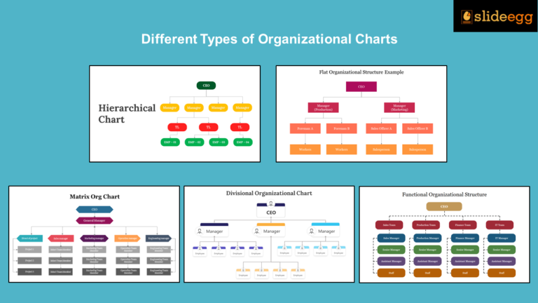 What is an Organizational Chart? How Does It Work?