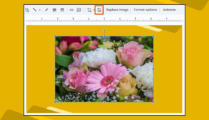 How to Change Image Shape in Google Slides Easily