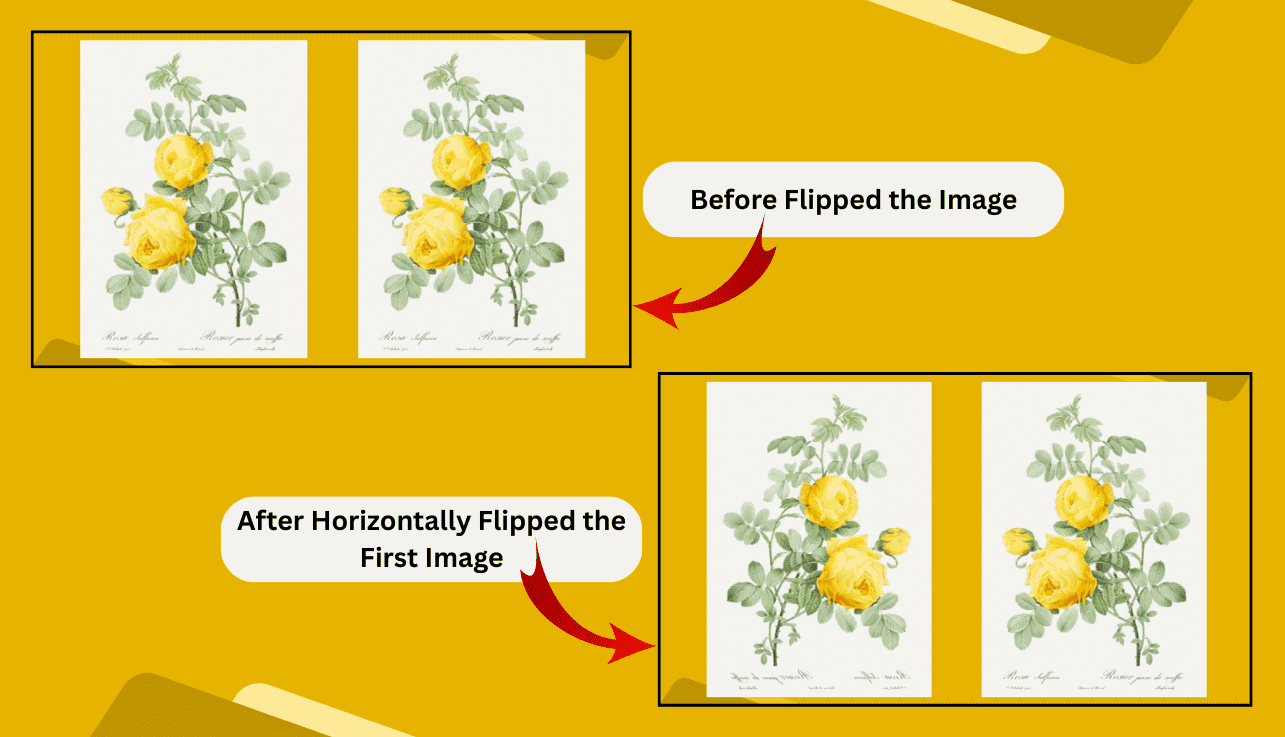 How to Invert an Image on Google Slides | Simple Steps