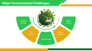 How to Create an Environmental Awareness Presentation