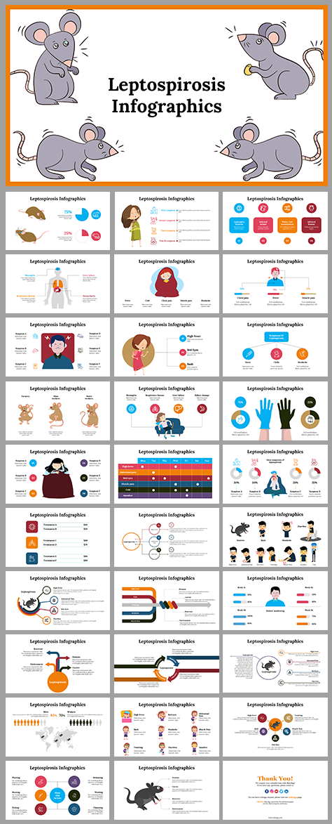 Leptospirosis Infographics PowerPoint And Google Slides