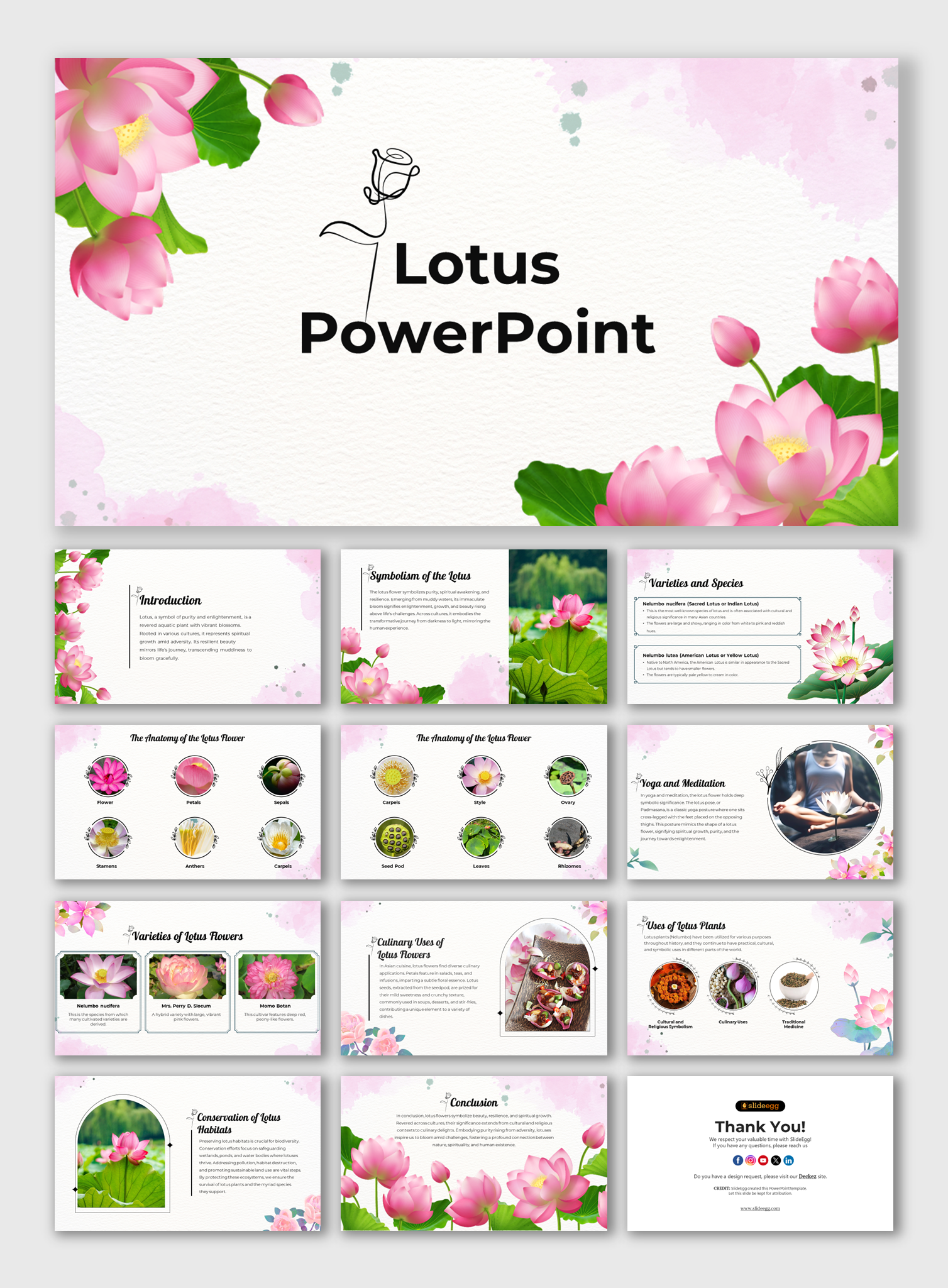 Get This Lotus PowerPoint And Google Slides Template