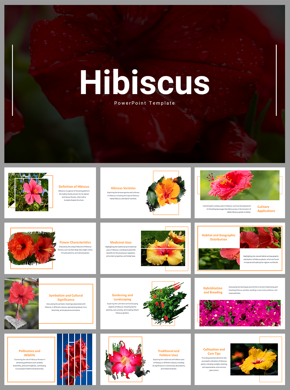 Download Hibiscus PowerPoint And Google Slides Templates