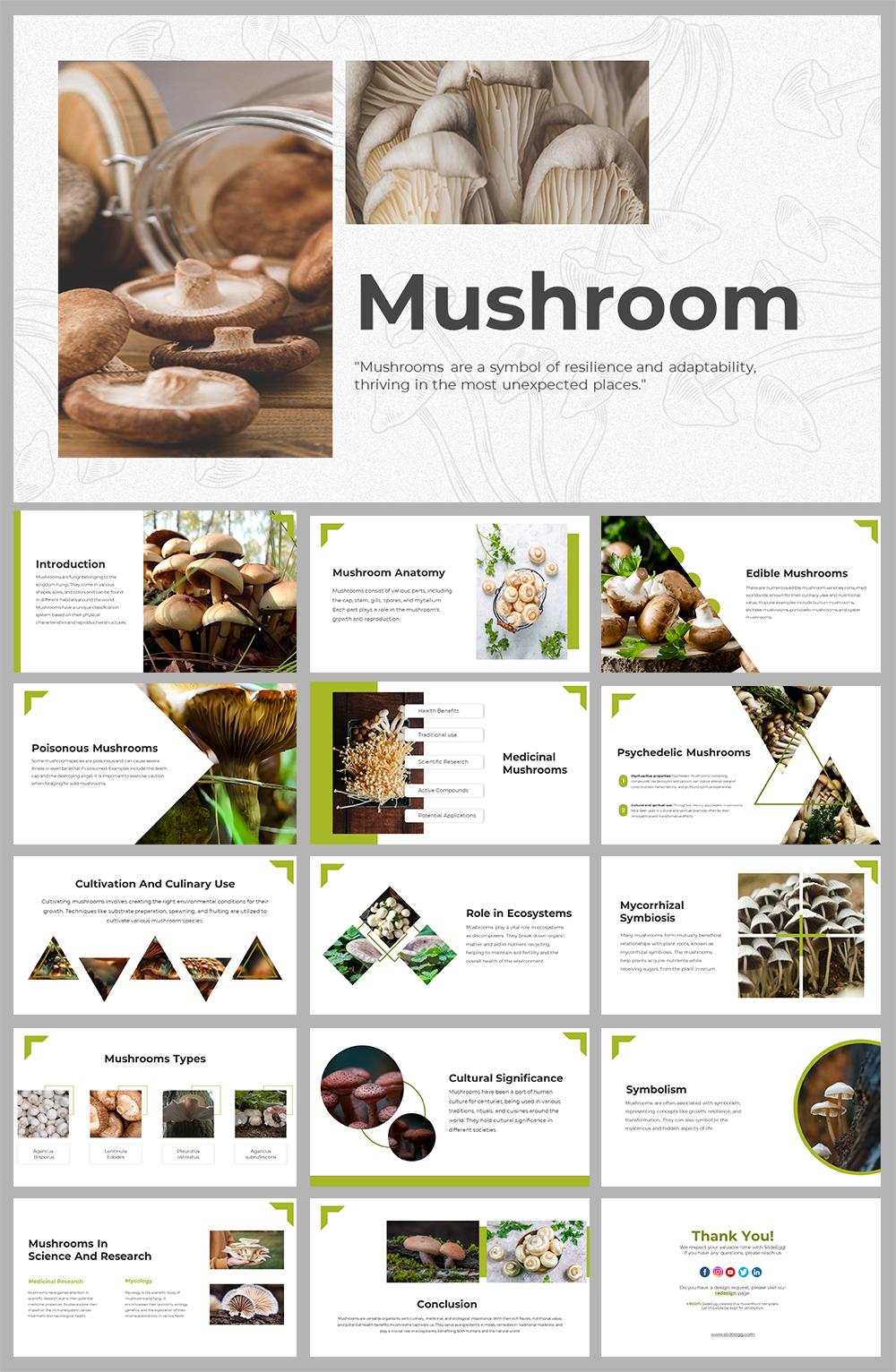 Get Now! Mushroom PowerPoint And Google Slides Templates