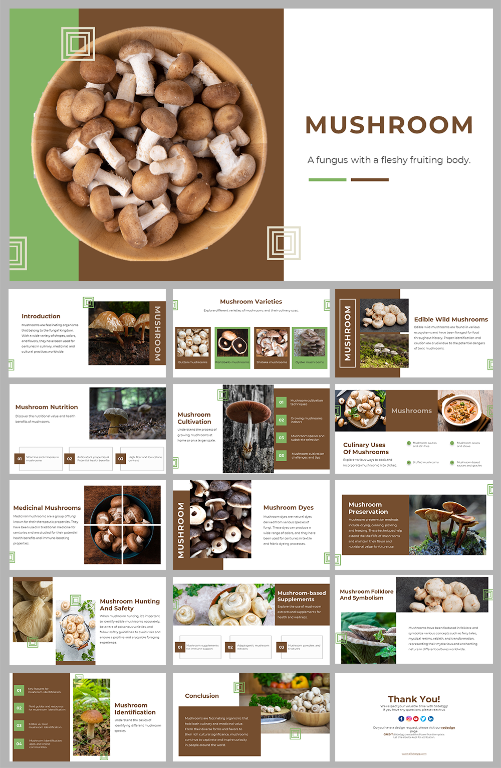 Mushroom PowerPoint Designs And Google Slides Themes