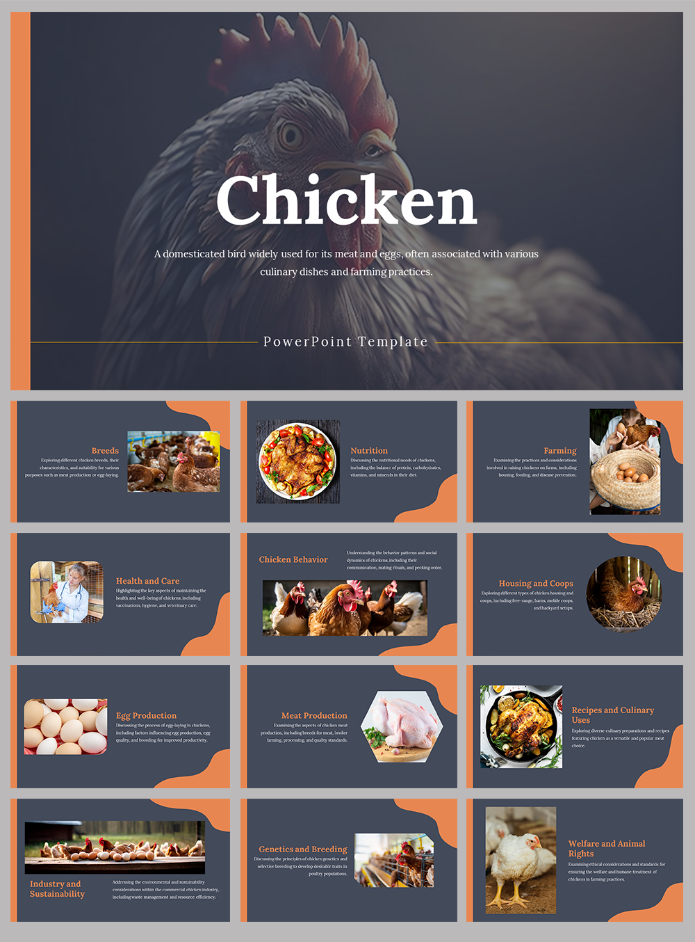 Download Chicken PowerPoint and Google Slides Templates