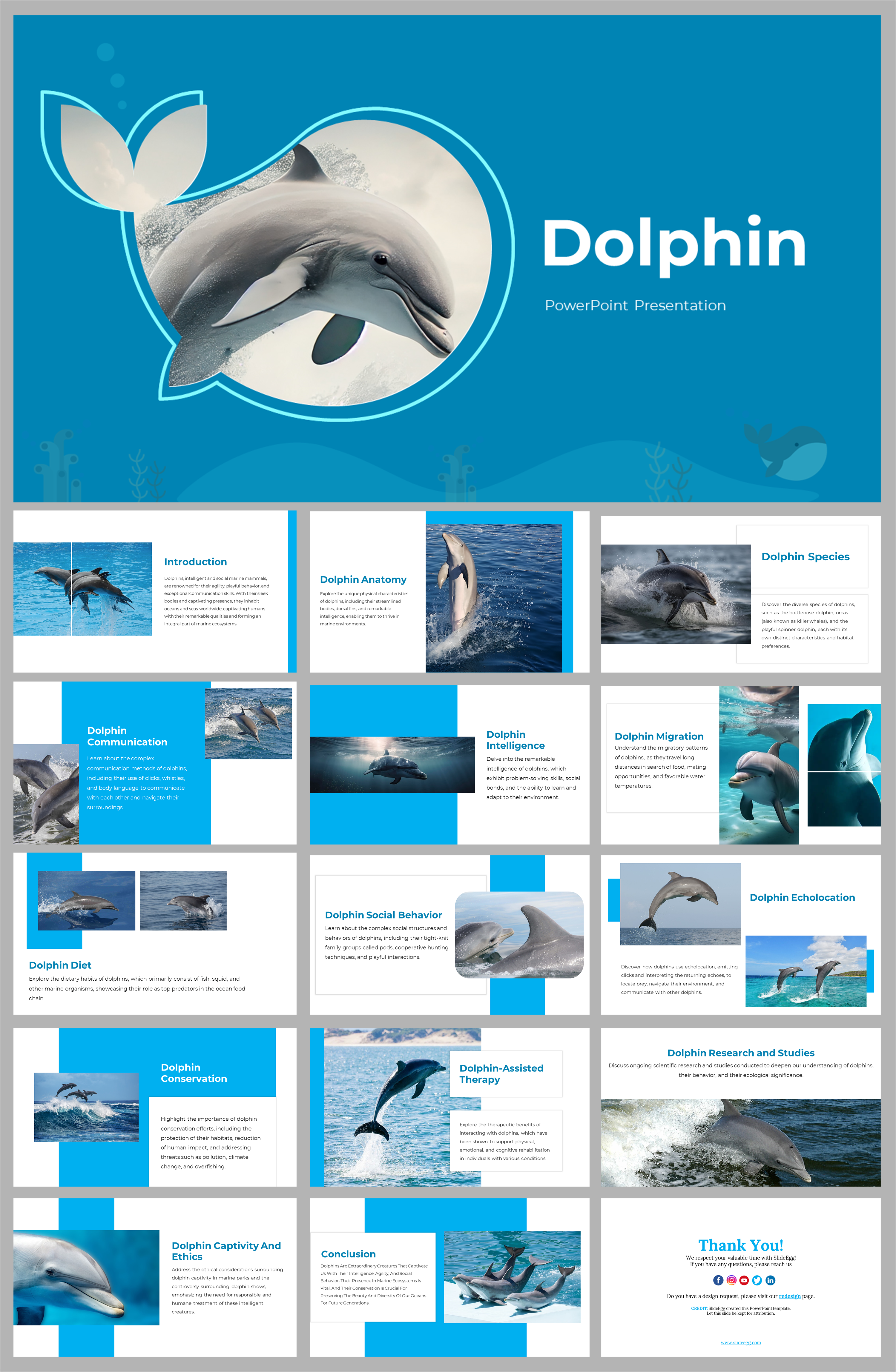 Dolphin PowerPoint Presentation And Google Slides Themes
