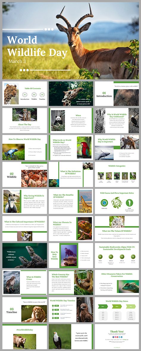 World Wildlife Day PPT Presentation And Google Slides Themes