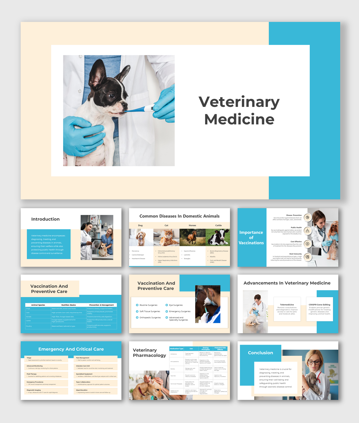 Discover Veterinary Medicine PPT And Google Slides Themes