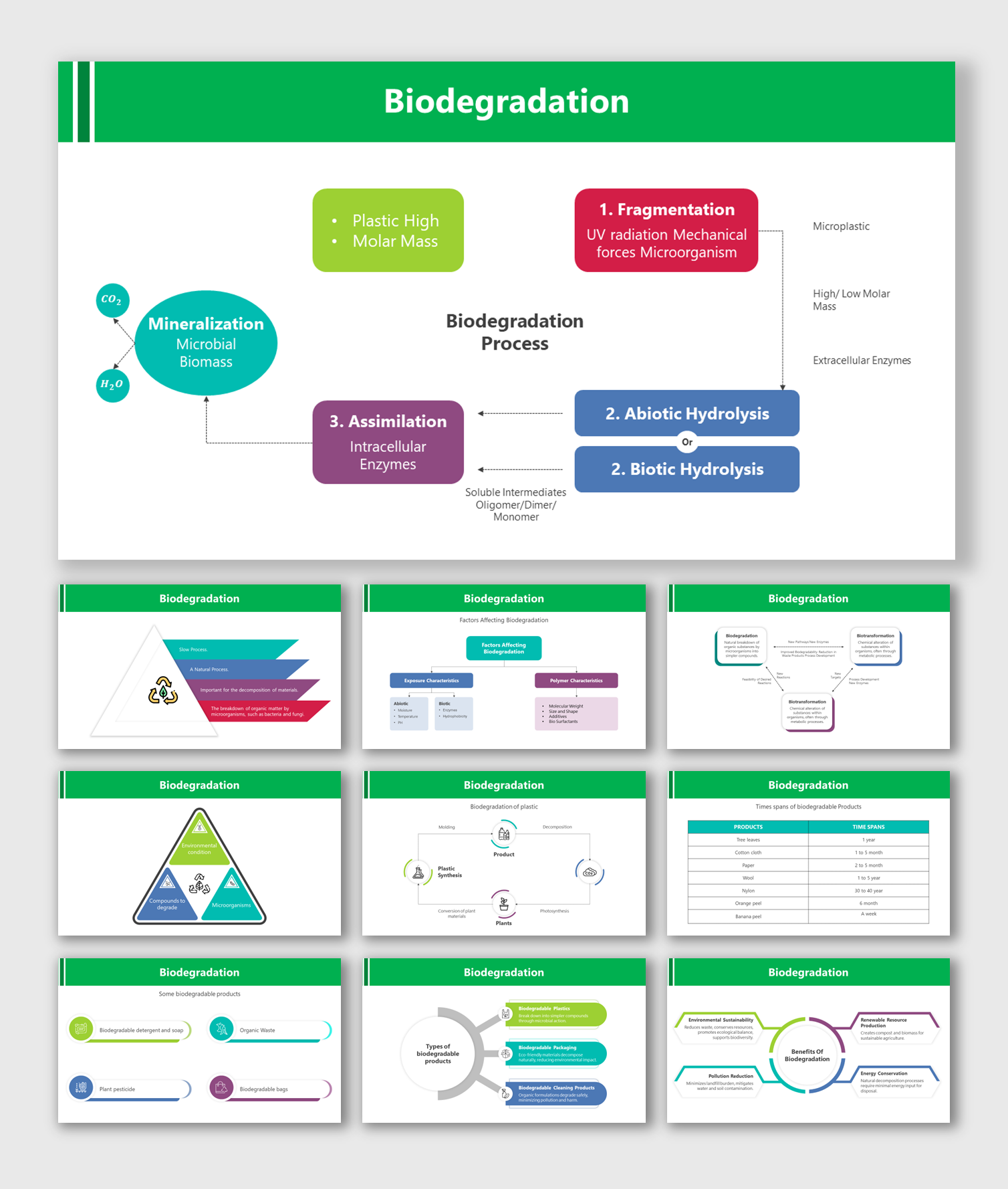 Get This Biodegradation PPT And Google Slides Templates