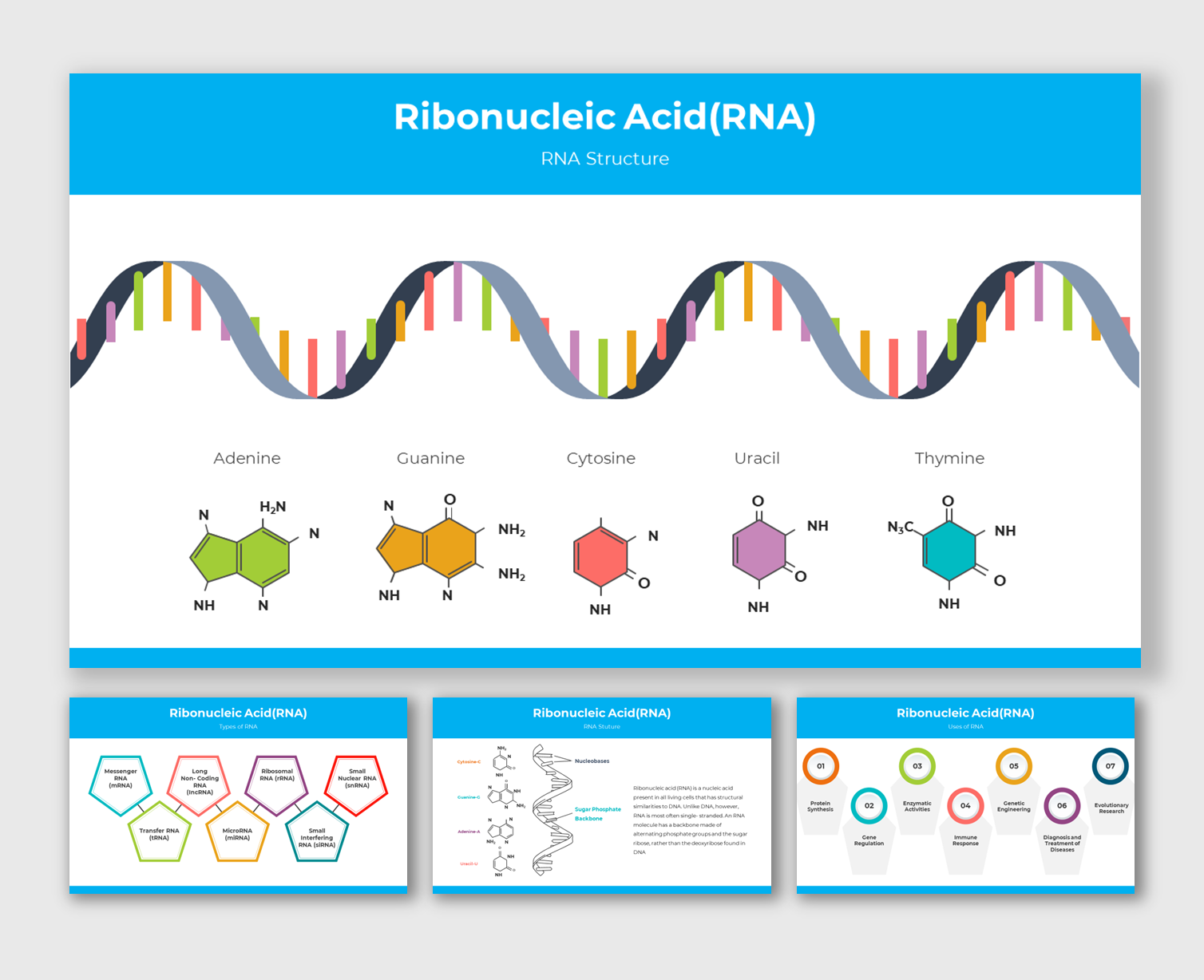 Ribonucleic Acid PowerPoint And Google Slides Template