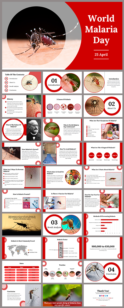 Get Ready to Use World Malaria Day PowerPoint Presentation