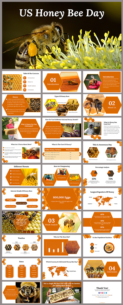 US Honey Bee Day PowerPoint And Google Slides Templates
