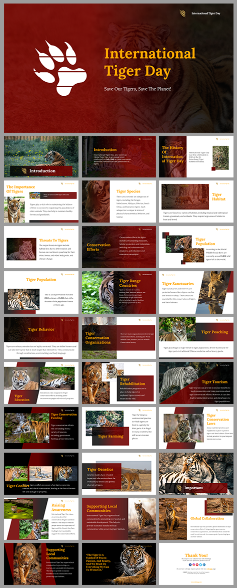International Tiger Day PPT and Google Slides Templates