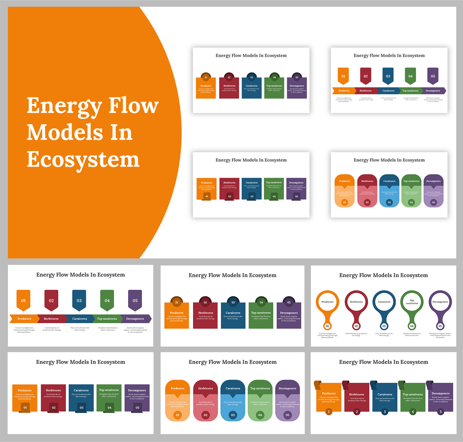 Energy Flow Models In Ecosystem Google Slides Templates