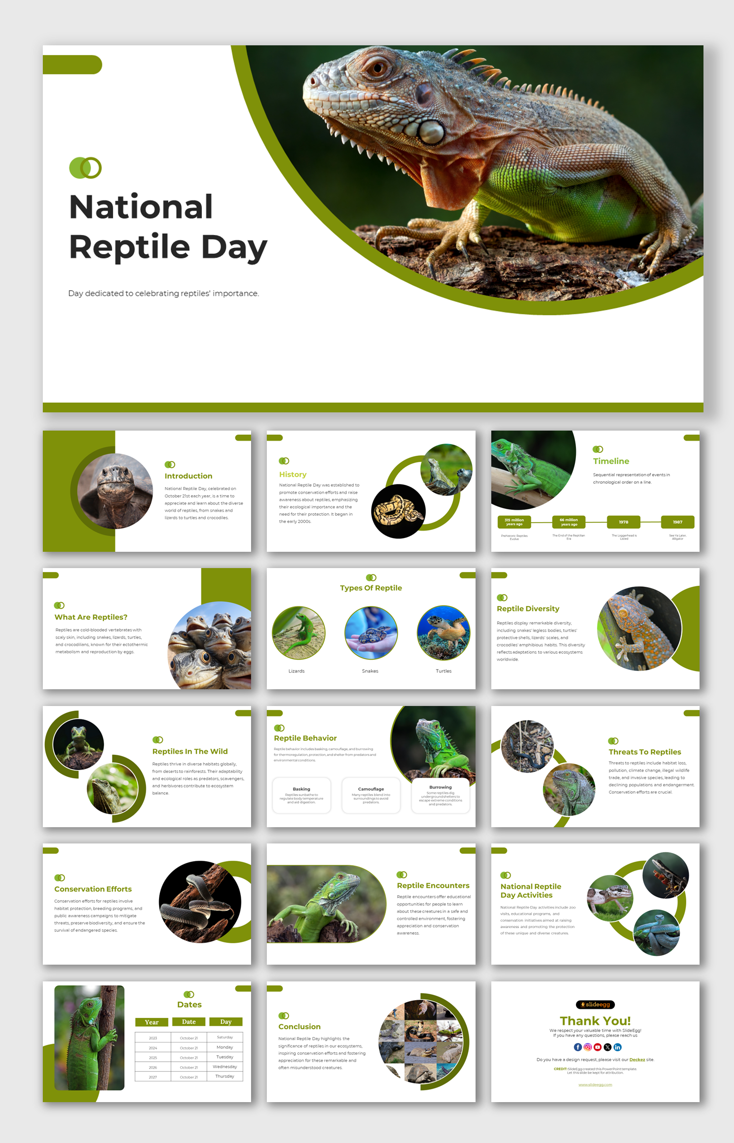 National Reptile Day PPT And Google Slides Templates