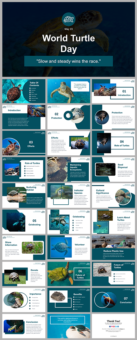 World Turtle Day PowerPoint And Google Slides Template