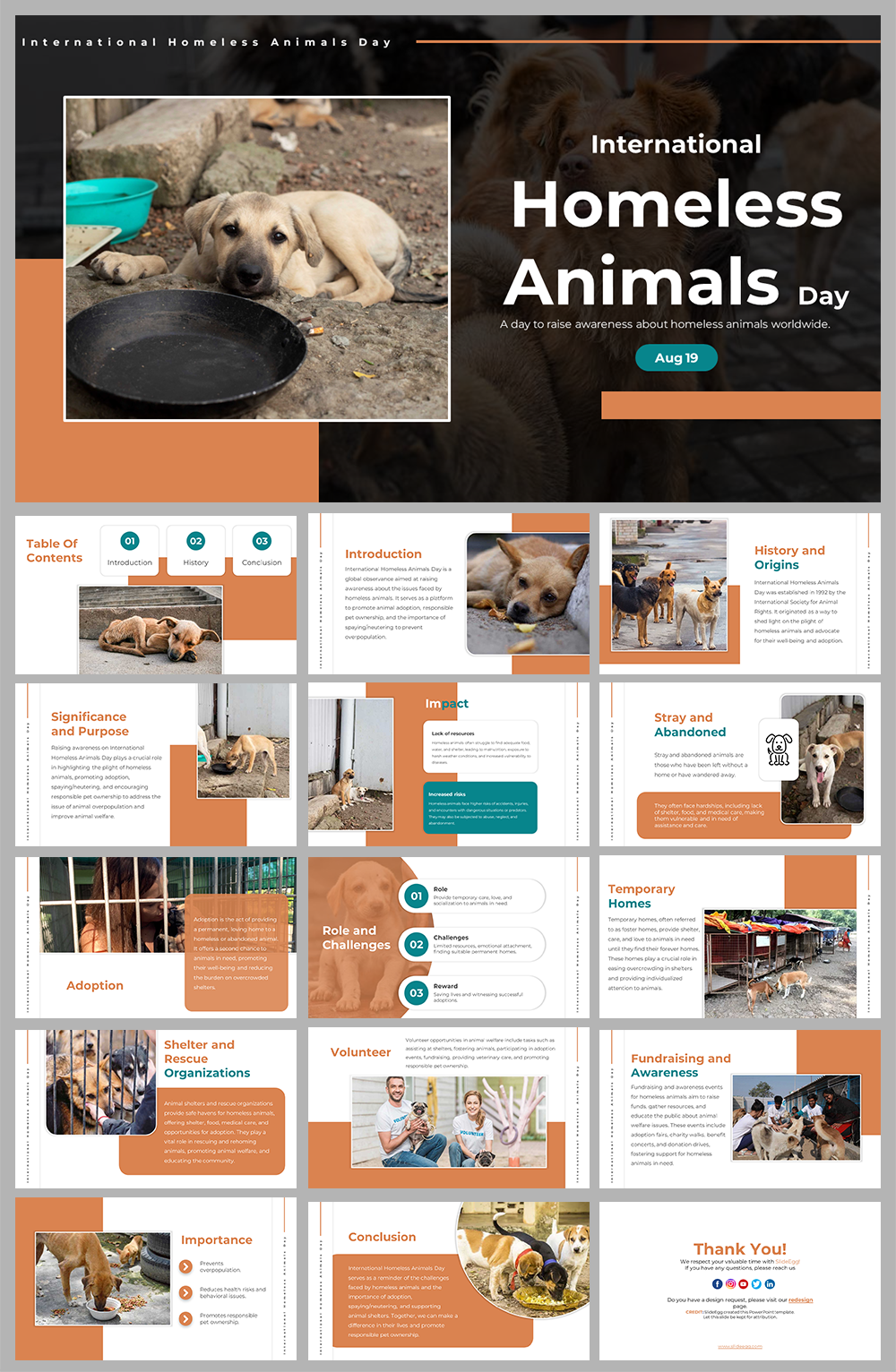 International Homeless Animals Day Google Slides Themes