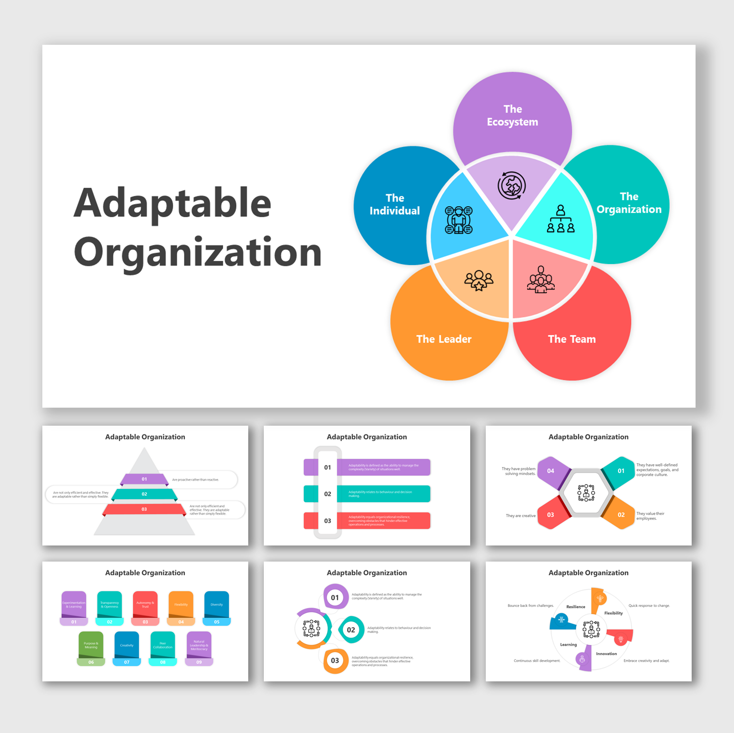 Try Adaptable Organization PowerPoint And Google Slides