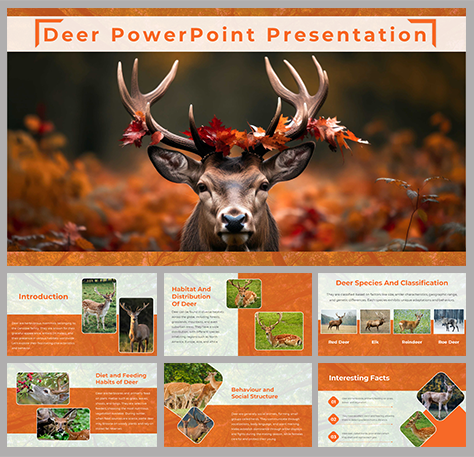 Ppt Dager Og Mneder Powerpoint Presentation Id2131775 Ginger