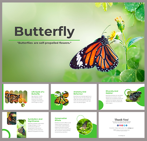 Get Now! Butterfly PowerPoint Template And Google Slides Themes
