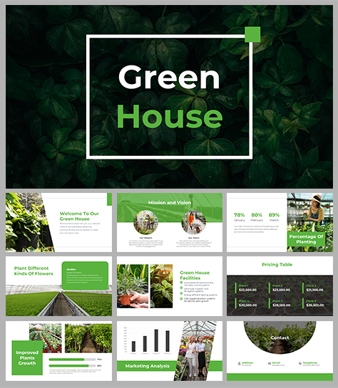 Green Google Slides Theme PPT Presentation Template