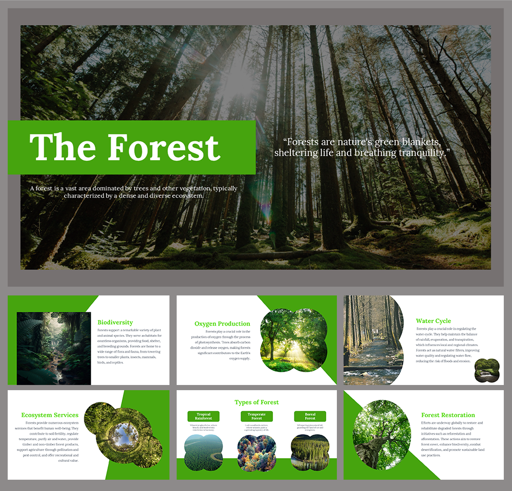 Explore Forest PowerPoint and Google Slides Templates