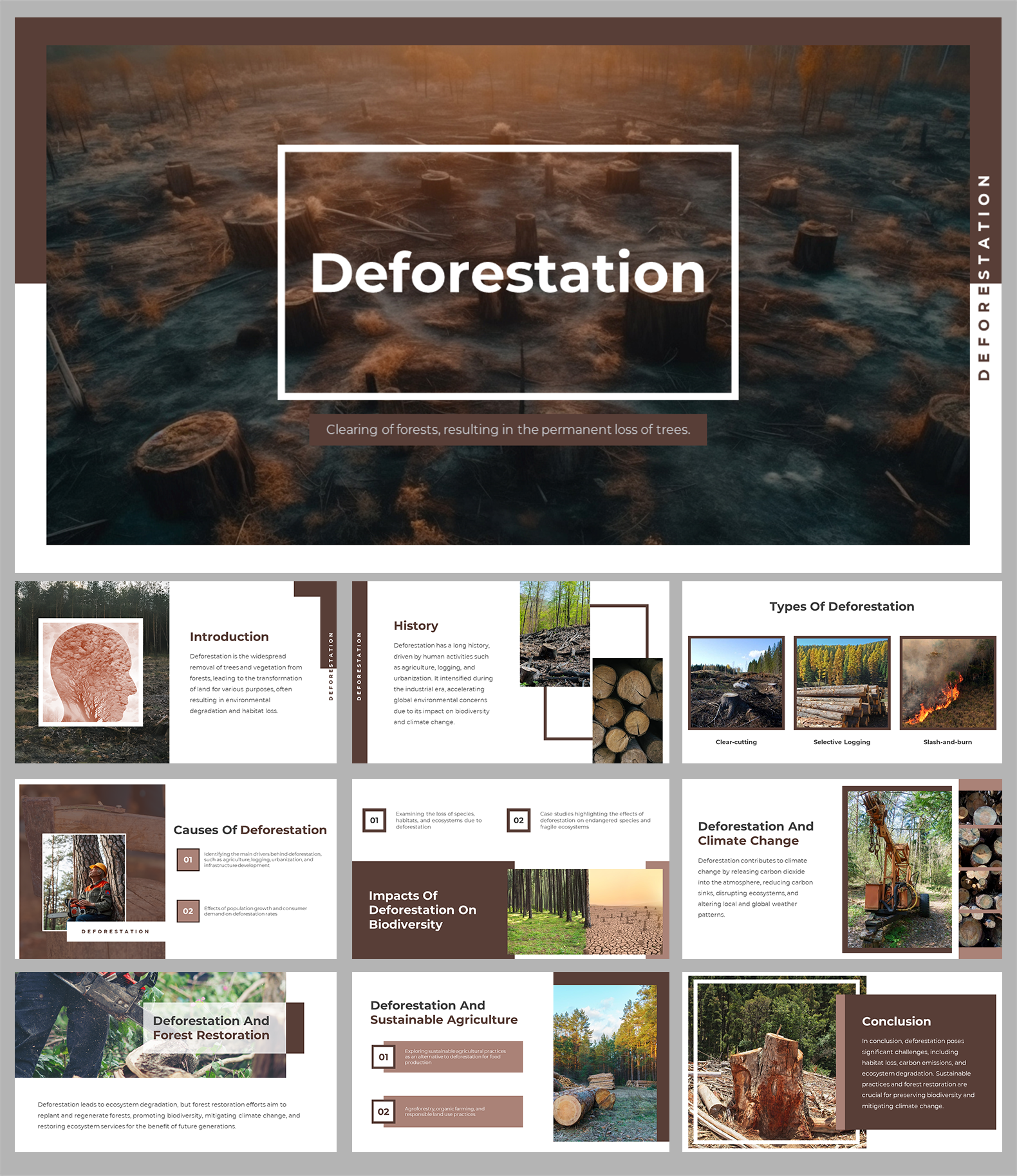 Get this Deforestation PowerPoint and Google Slides Themes