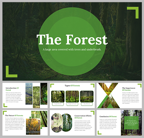 Explore Our Forest PowerPoint and Google Slides Themes