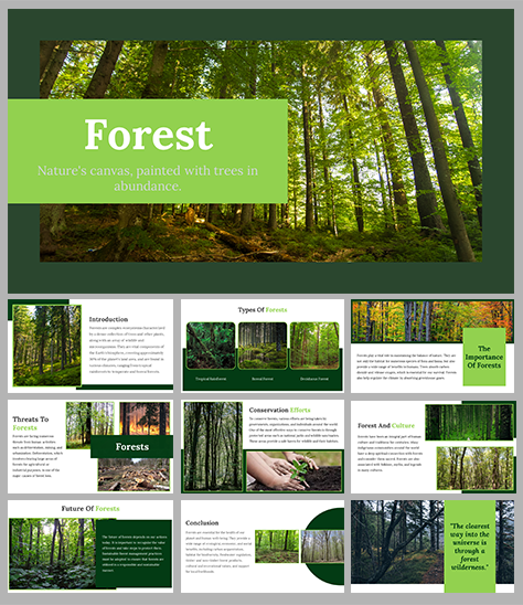 Get this Forest PowerPoint and Google Slides Templates