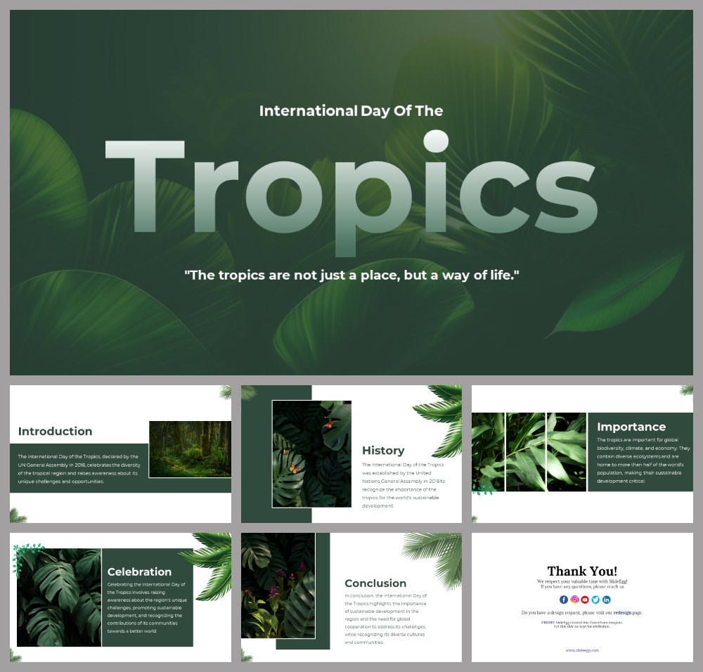 International Day Of The Tropics Google Slides Templates
