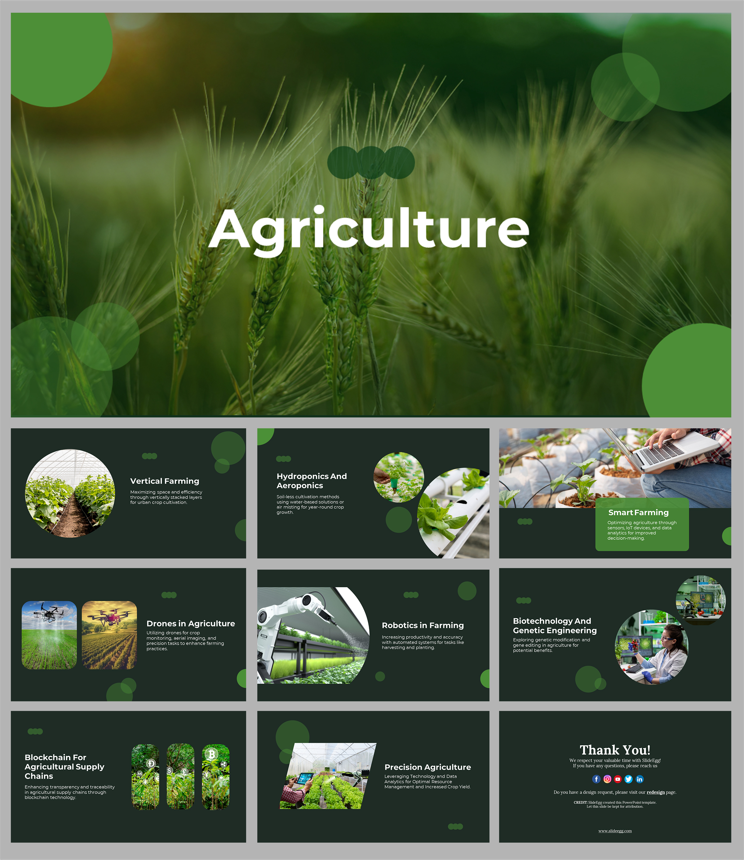 Agriculture Ppt