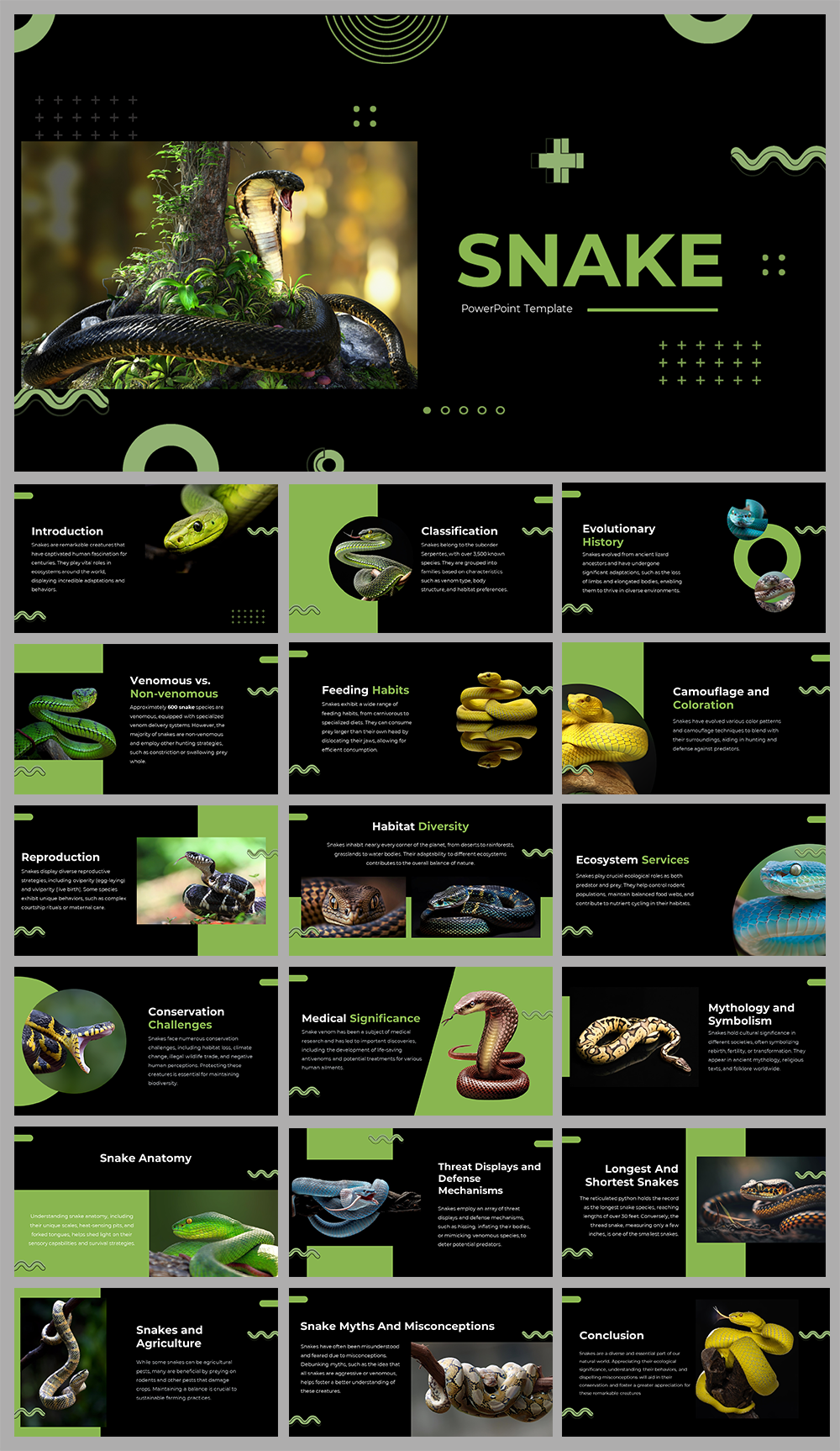 Snake PPT Presentation And Google Slides Templates