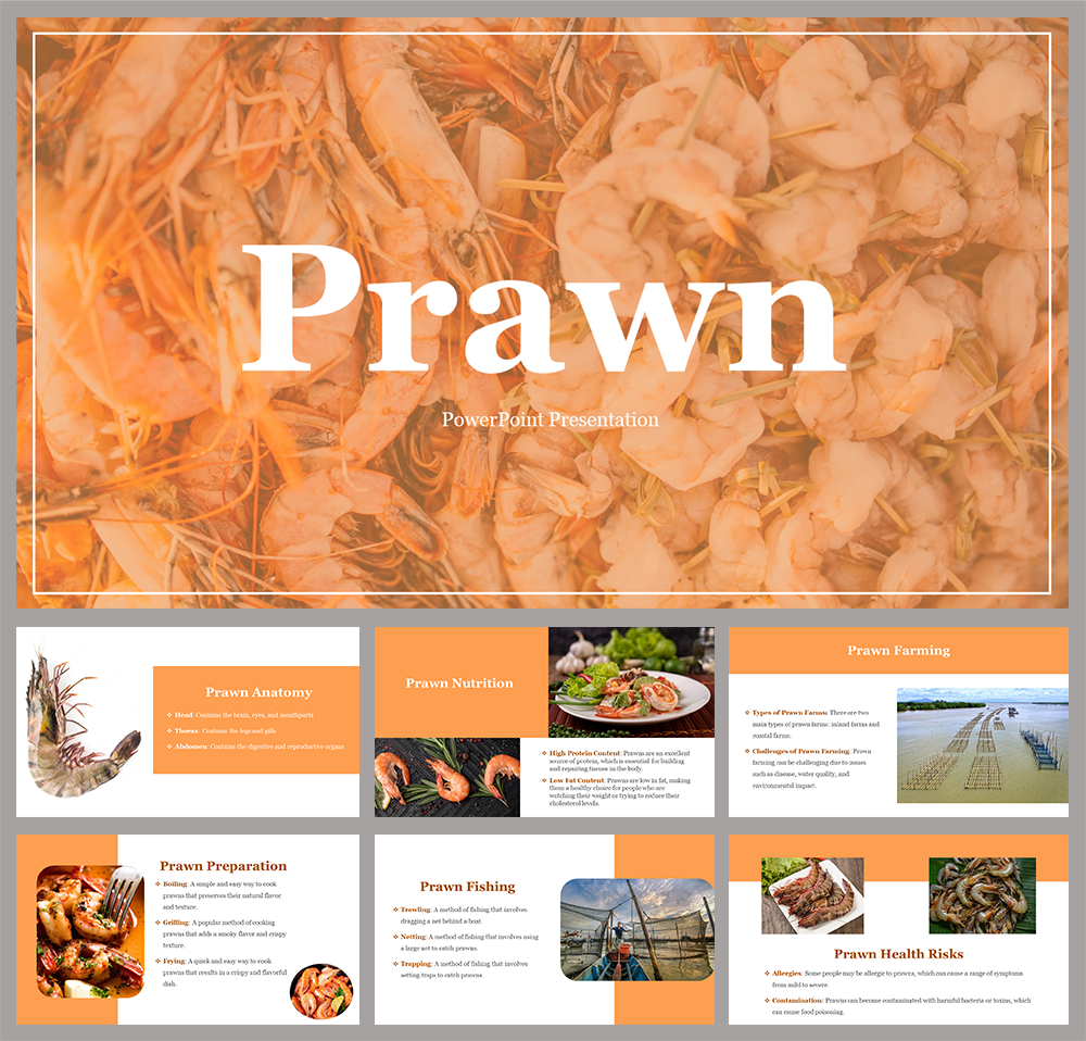 Discover Prawn PowerPoint and Google Slides Templates