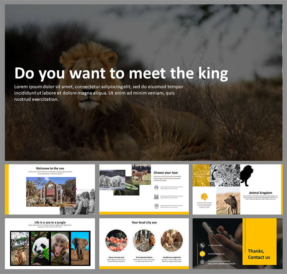 Download Zoo PPT Presentation And Google Slides Themes