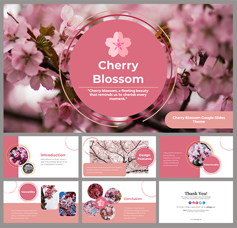 Cherry Blossom PPT presentation And Google Slides Themes