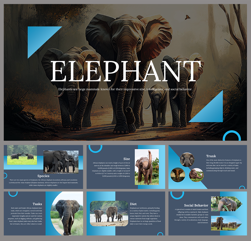 Buy Now! Elephant PowerPoint and Google Slides Templates