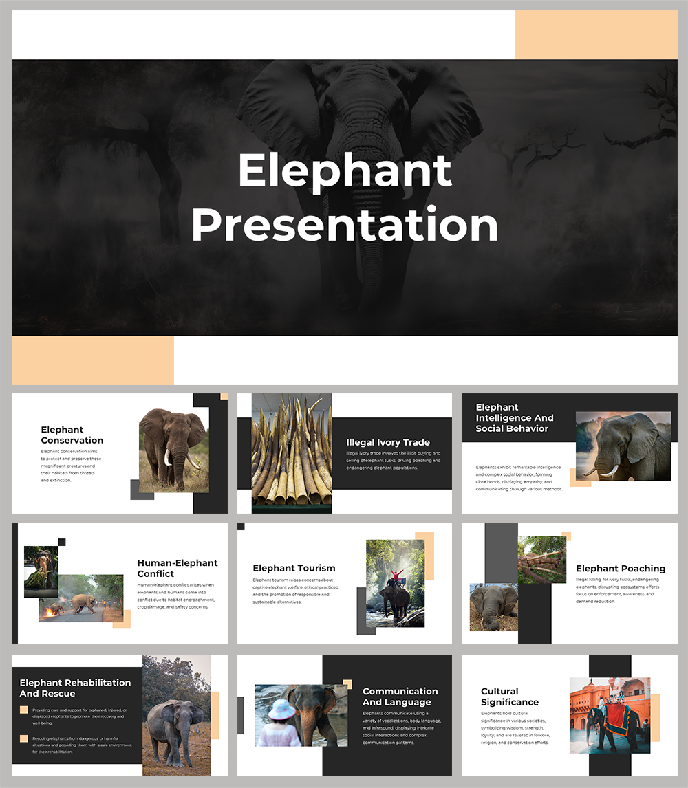Elephant PPT Presentation And Google Slides Templates