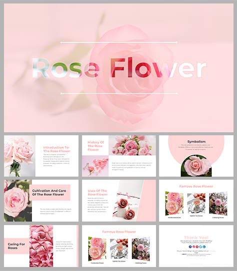 Rose Flower PowerPoint Presentation and Google Slides Themes