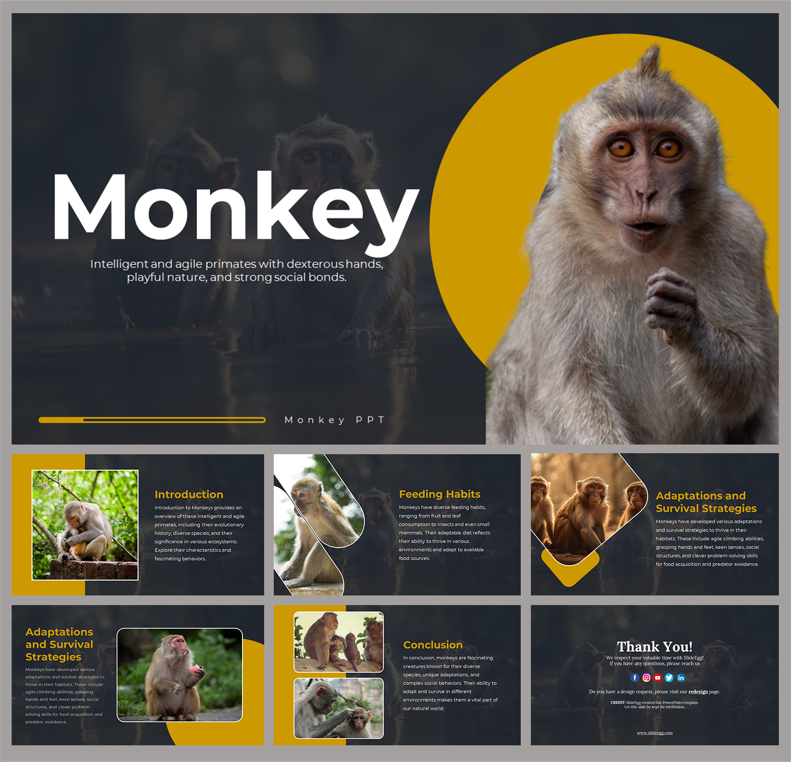 Monkey PowerPoint Presentation And Google Slides Templates