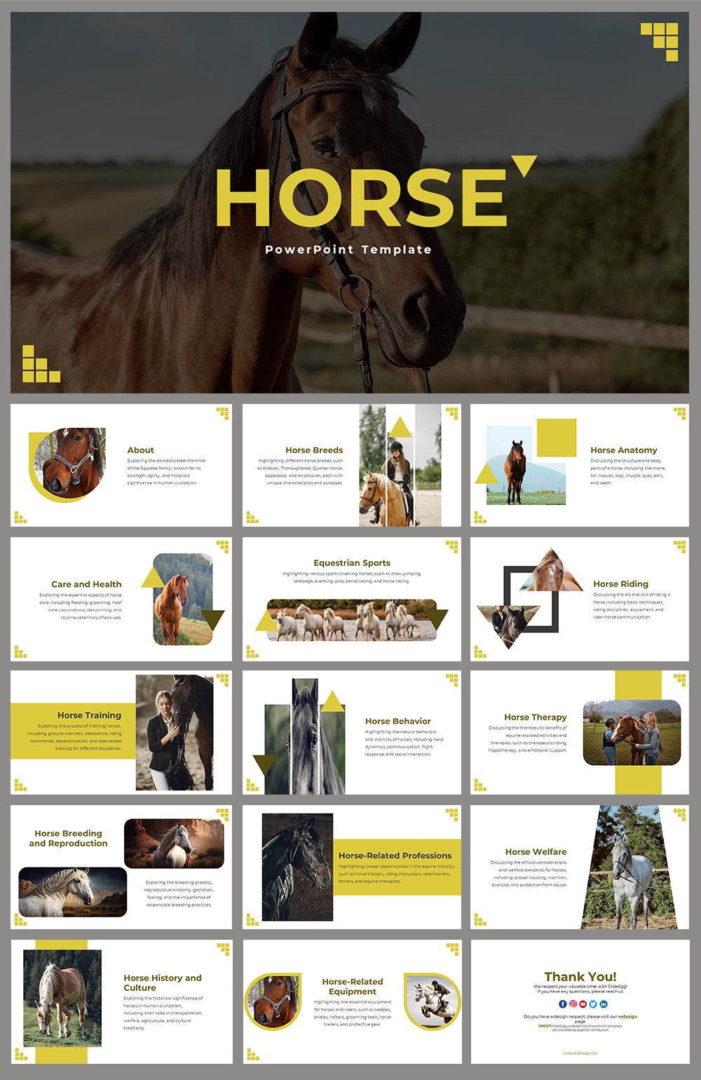 Get Now! Horse PowerPoint And Google Slides Templates