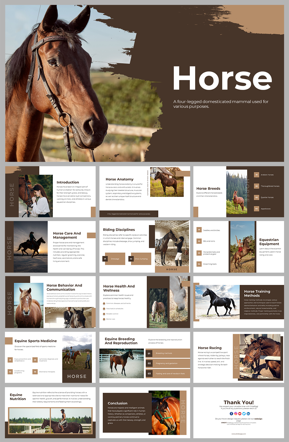 Explore The Horse PowerPoint And Google Slides Themes