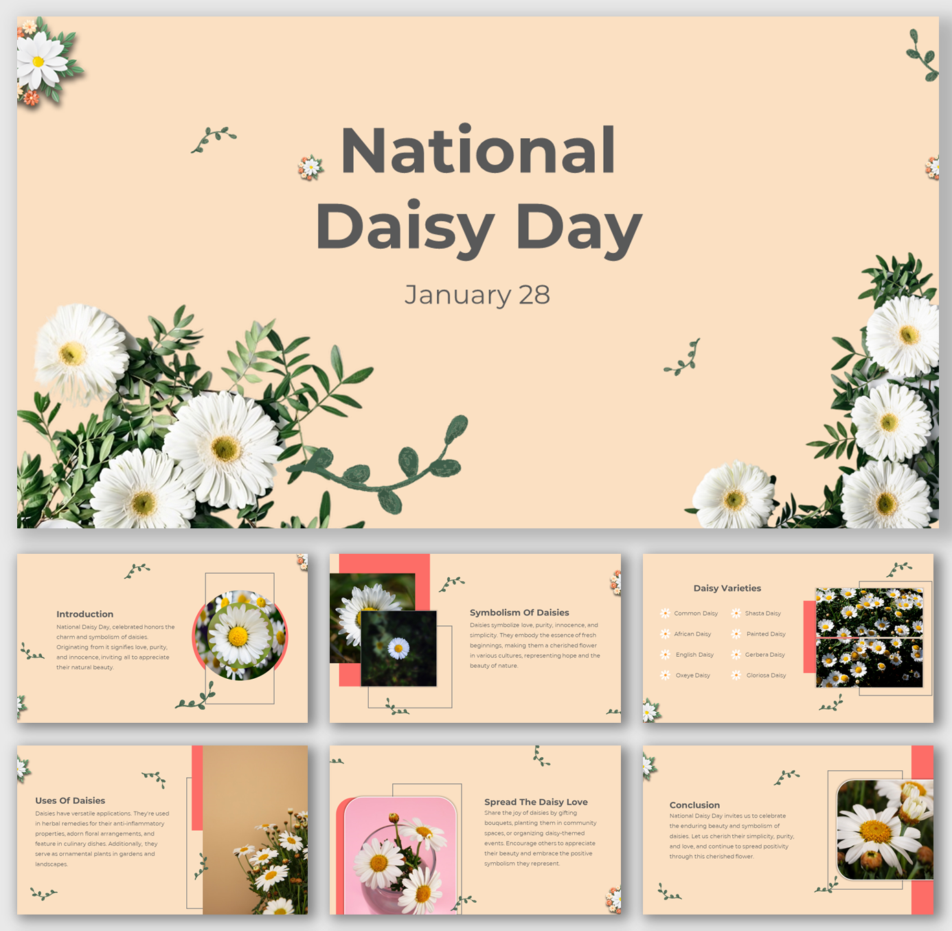 Buy Now! National Daisy Day PowerPoint And Google Slides