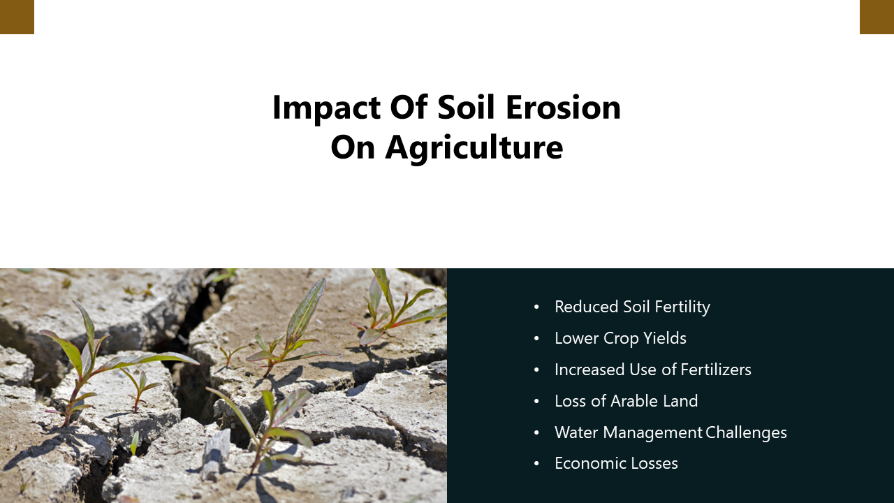 Explore Our Soil Erosion PPT Presentation And Canva Template