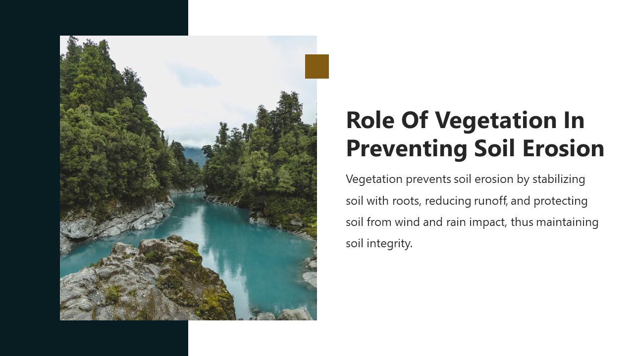 Explore Our Soil Erosion PPT Presentation And Canva Template