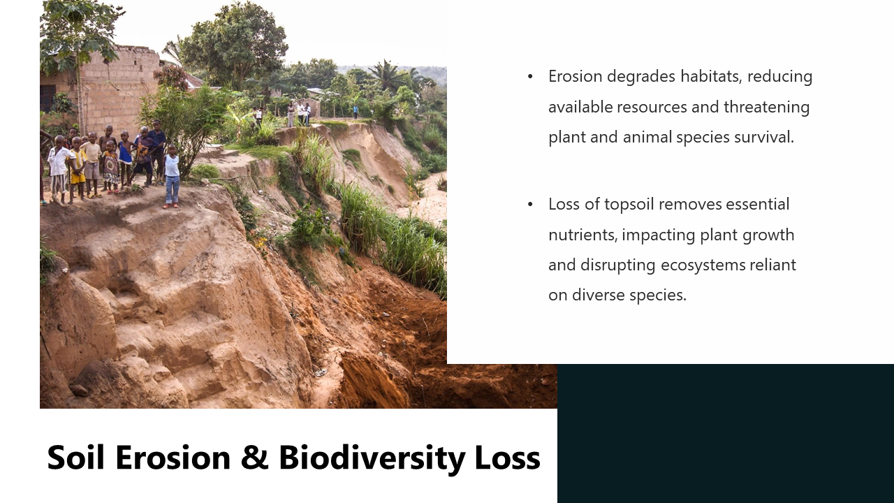 Explore Our Soil Erosion PPT Presentation And Canva Template