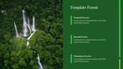 Nature Forest PPT Presentation And Google Slides Theme