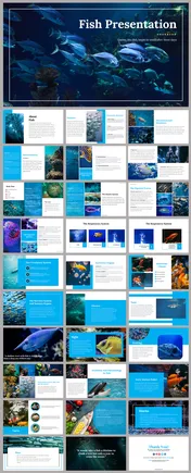 Fishing Gears PPT Presentation Template and Google Slides