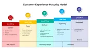 Customer Service Experience Maturity Model Google Slides