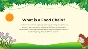 Biology Subject For Pre K Food Chain PPT And Canva Slides
